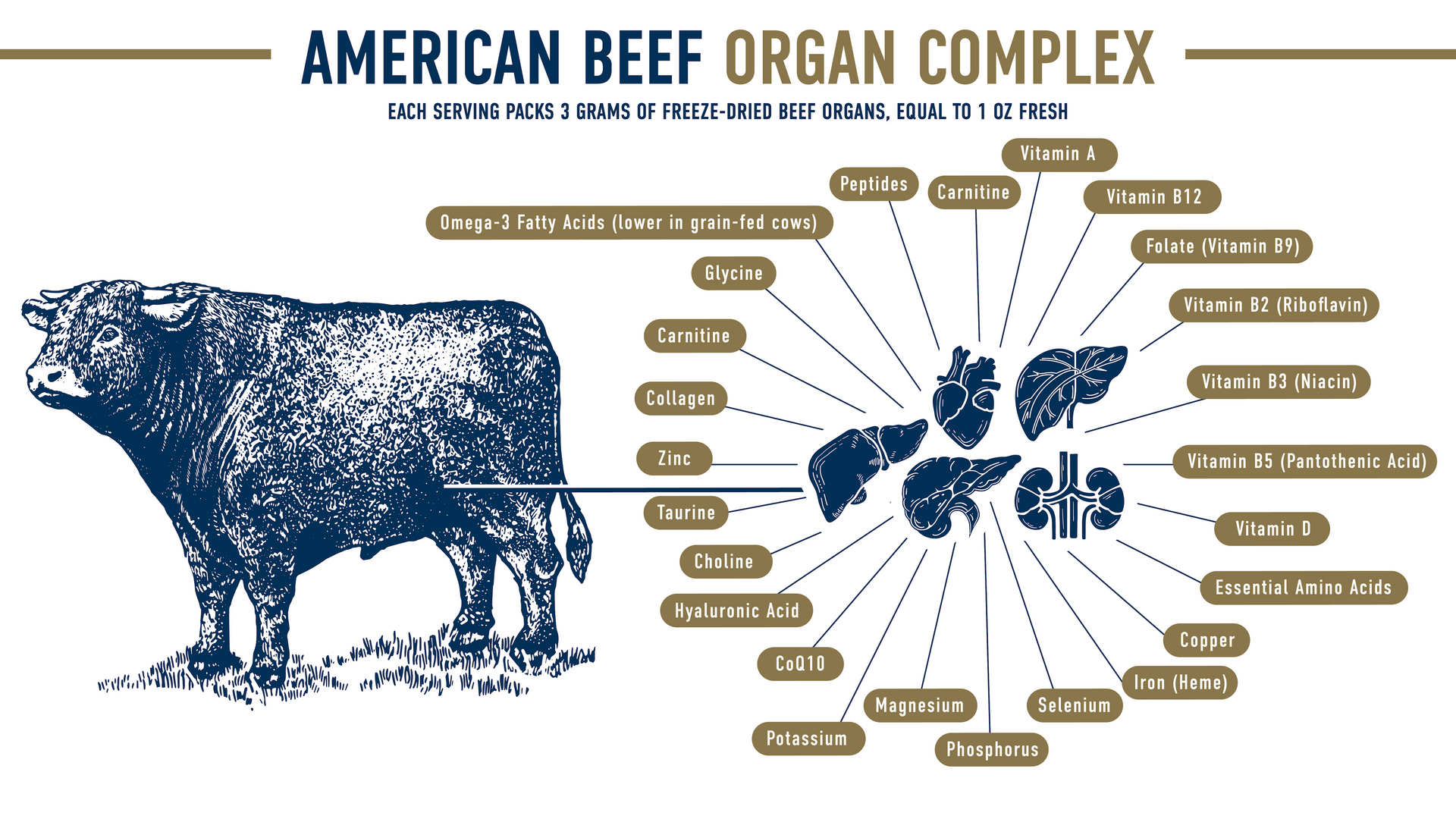 Beef Organ Supplements – Grass-Fed, Freeze-Dried | Sacred Range