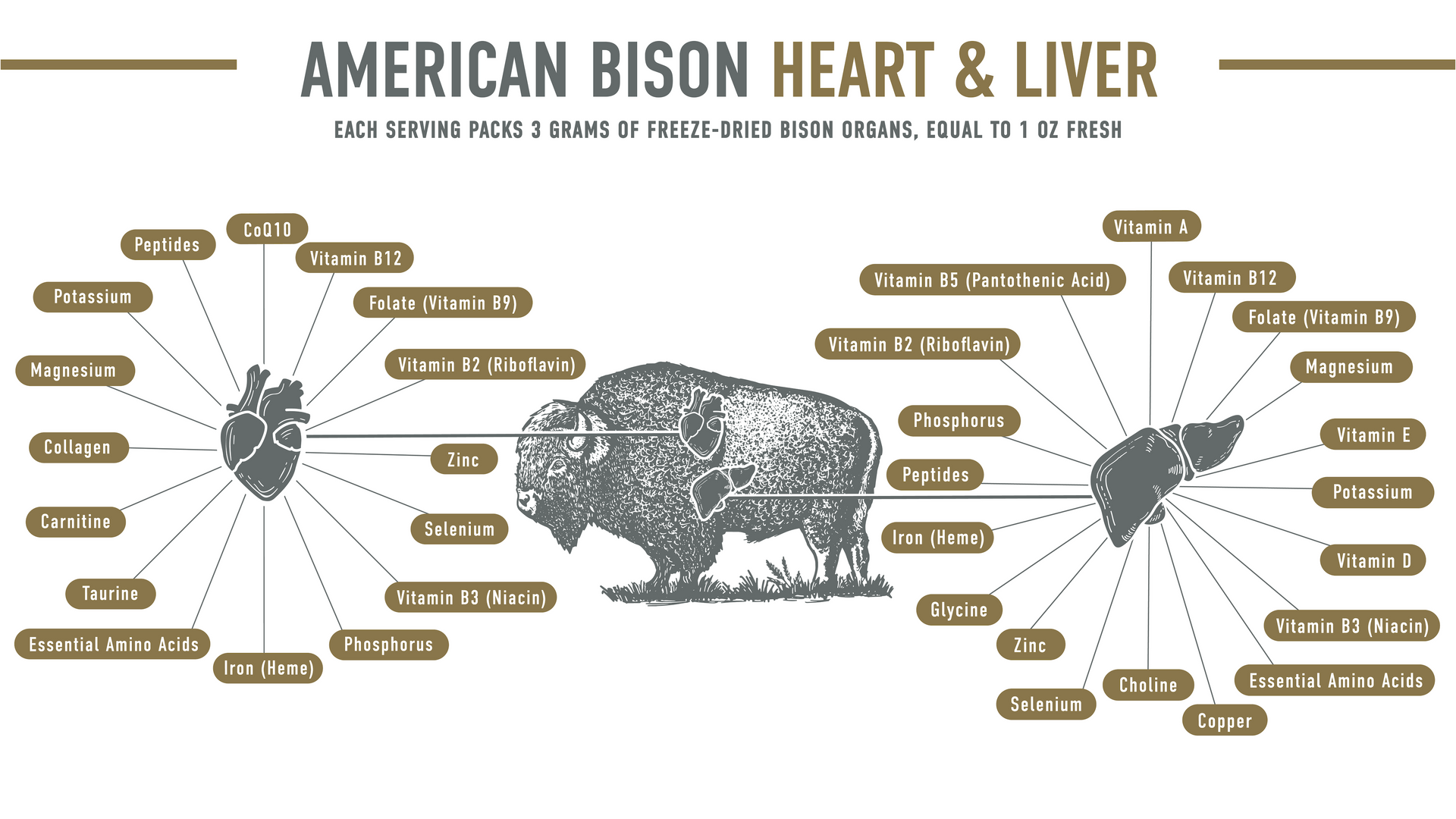 American Bison Heart & Liver Supplement | Sacred Range